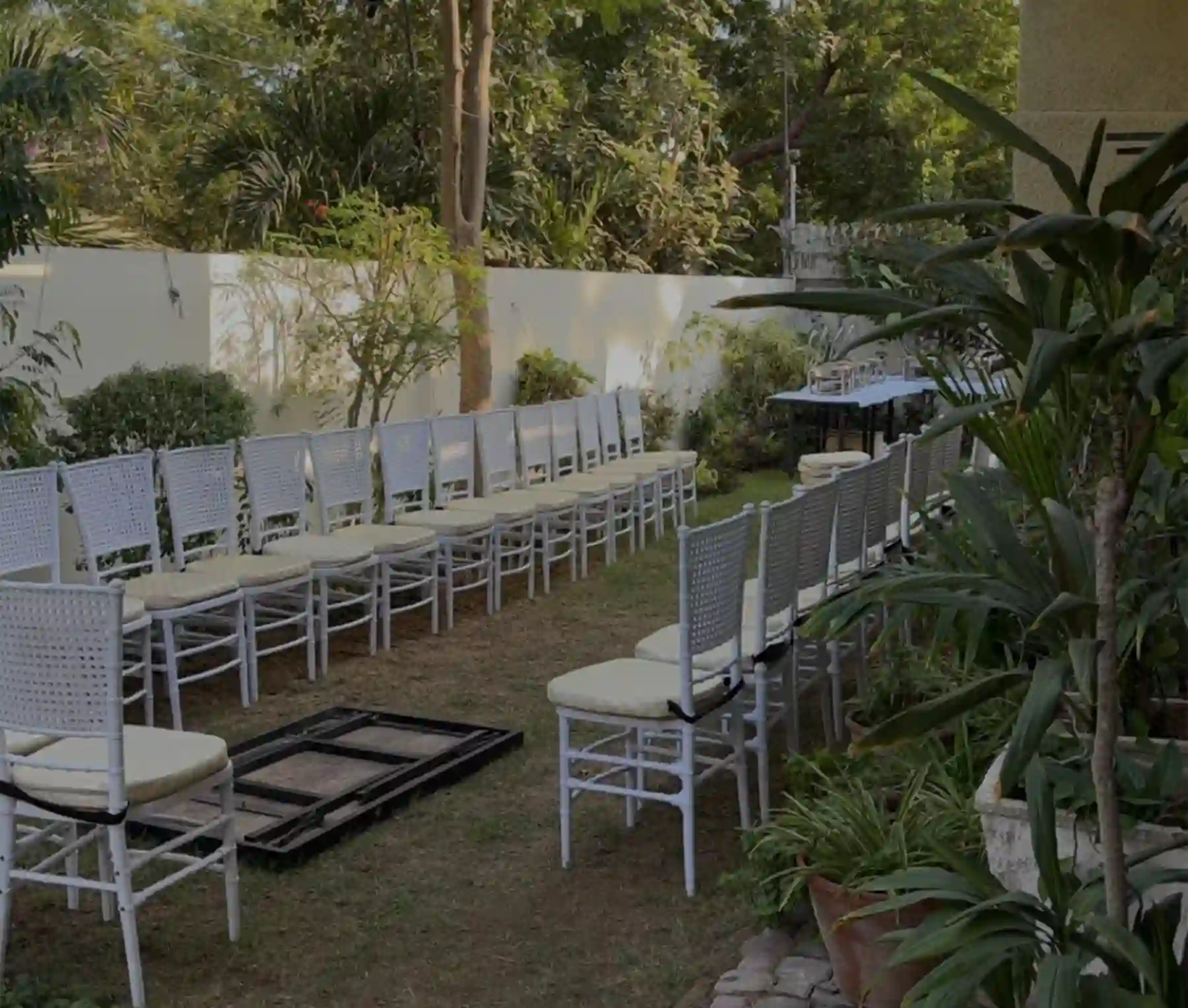 Thermal Fogging at Backyard - AskFumigation